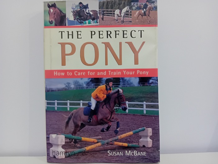 The Perfect Pony