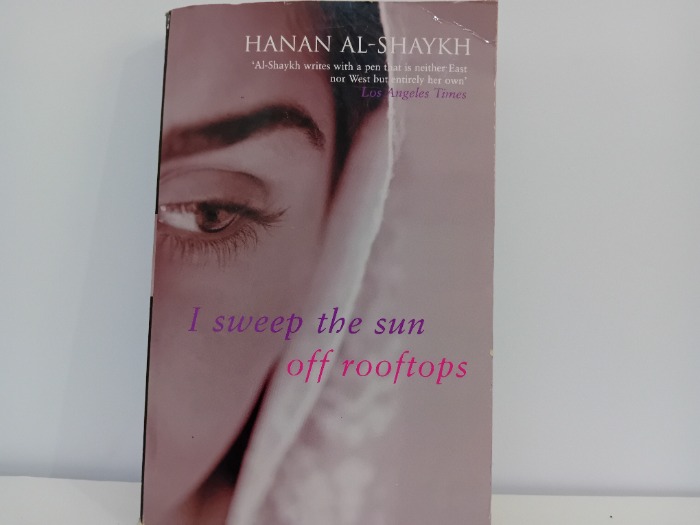 I sweep the sun off rooftops